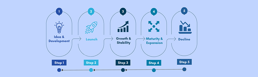 Phases of company growth - ONEtoONE